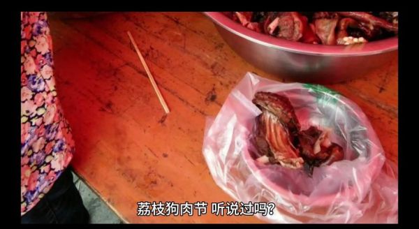 玉林狗肉节图片_为什么争议这么大-第1张图片-山城妙识 玉林狗肉节图片_为什么争议这么大-第1张图片-山城妙识