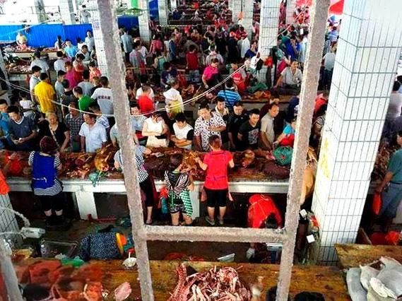 玉林狗肉节图片_为什么争议这么大-第2张图片-山城妙识 玉林狗肉节图片_为什么争议这么大-第2张图片-山城妙识