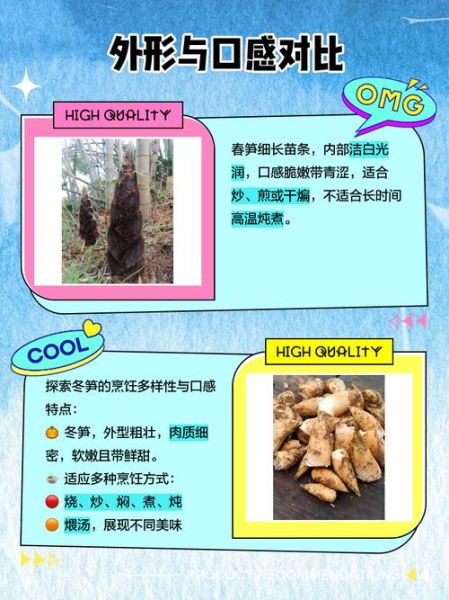 春笋和冬笋哪个好吃_春笋和冬笋的区别-第2张图片-山城妙识 春笋和冬笋哪个好吃_春笋和冬笋的区别-第2张图片-山城妙识