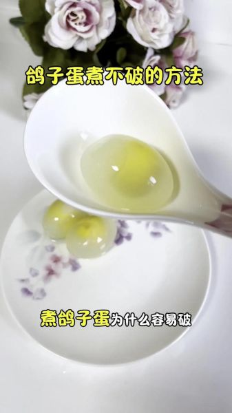 鸽子蛋怎么煮好吃_鸽子蛋一天吃几个合适-第2张图片-山城妙识 鸽子蛋怎么煮好吃_鸽子蛋一天吃几个合适-第2张图片-山城妙识