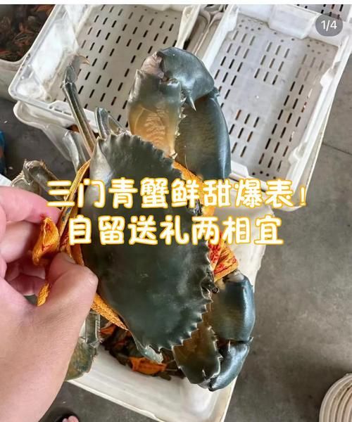 三门青蟹怎么杀_三门青蟹杀法图解-第1张图片-山城妙识 三门青蟹怎么杀_三门青蟹杀法图解-第1张图片-山城妙识