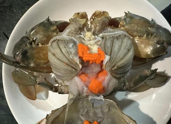 三门青蟹怎么杀_三门青蟹杀法图解-第3张图片-山城妙识 三门青蟹怎么杀_三门青蟹杀法图解-第3张图片-山城妙识