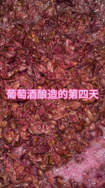 葡萄酒发酵多长时间_自酿葡萄酒要多久-第3张图片-山城妙识 葡萄酒发酵多长时间_自酿葡萄酒要多久-第3张图片-山城妙识