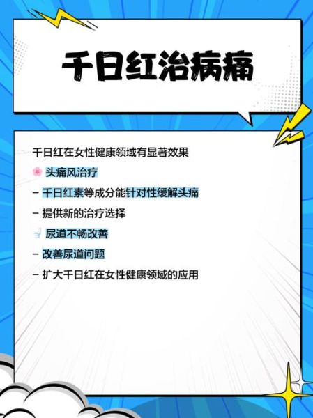 千日红泡水喝的功效_千日红泡水喝的禁忌-第1张图片-山城妙识 千日红泡水喝的功效_千日红泡水喝的禁忌-第1张图片-山城妙识
