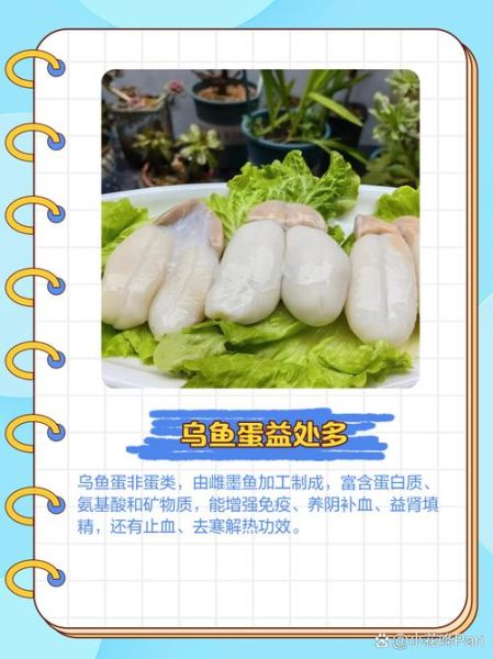 乌鱼蛋是什么东西_乌鱼蛋和乌鱼子的区别-第1张图片-山城妙识 乌鱼蛋是什么东西_乌鱼蛋和乌鱼子的区别-第1张图片-山城妙识