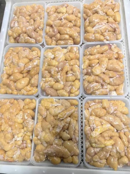 乌鱼蛋是什么东西_乌鱼蛋和乌鱼子的区别-第3张图片-山城妙识 乌鱼蛋是什么东西_乌鱼蛋和乌鱼子的区别-第3张图片-山城妙识