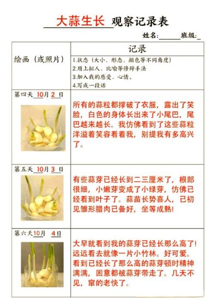 大蒜生长五个阶段照片_如何识别每个阶段-第3张图片-山城妙识 大蒜生长五个阶段照片_如何识别每个阶段-第3张图片-山城妙识