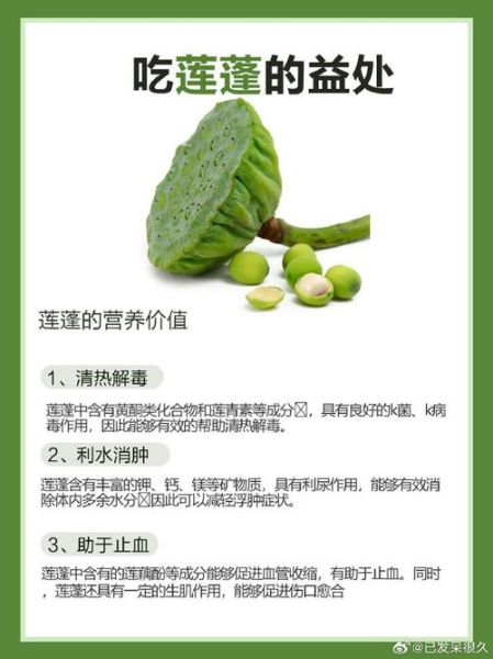 吃莲蓬有什么好处和坏处_莲蓬吃多了会上火吗-第1张图片-山城妙识 吃莲蓬有什么好处和坏处_莲蓬吃多了会上火吗-第1张图片-山城妙识