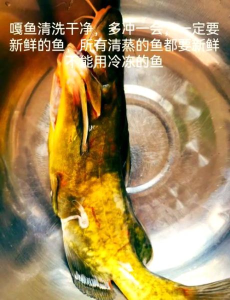 宝宝多大能吃嘎鱼_宝宝吃嘎鱼的禁忌有哪些-第1张图片-山城妙识 宝宝多大能吃嘎鱼_宝宝吃嘎鱼的禁忌有哪些-第1张图片-山城妙识