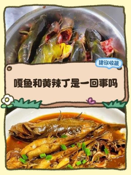 宝宝多大能吃嘎鱼_宝宝吃嘎鱼的禁忌有哪些-第2张图片-山城妙识 宝宝多大能吃嘎鱼_宝宝吃嘎鱼的禁忌有哪些-第2张图片-山城妙识