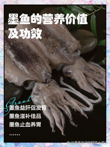墨鱼哪些部位不能吃_墨鱼内脏图解-第3张图片-山城妙识 墨鱼哪些部位不能吃_墨鱼内脏图解-第3张图片-山城妙识