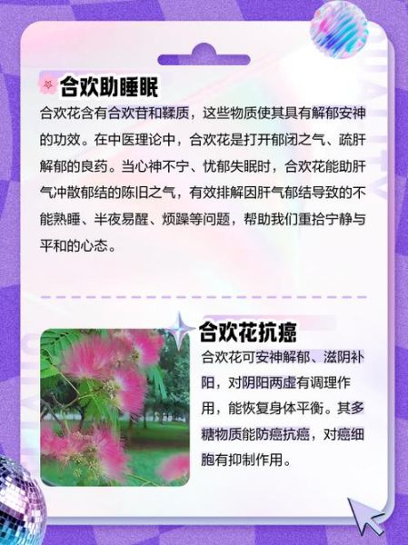 合欢花助眠效果怎么样_合欢花禁忌人群有哪些-第3张图片-山城妙识 合欢花助眠效果怎么样_合欢花禁忌人群有哪些-第3张图片-山城妙识