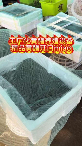 室内养黄鳝技术与设备_室内养黄鳝需要哪些设备-第2张图片-山城妙识 室内养黄鳝技术与设备_室内养黄鳝需要哪些设备-第2张图片-山城妙识