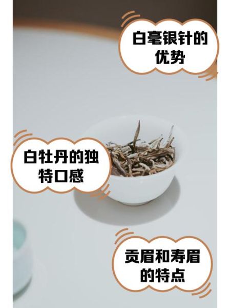 白茶有哪些种类_白茶哪种好喝-第3张图片-山城妙识