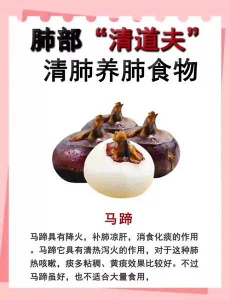 养肺清肺最好的食物有哪些_怎么吃最有效-第1张图片-山城妙识