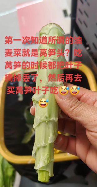 油麦菜和莴笋的区别_哪个营养价值更高-第1张图片-山城妙识 油麦菜和莴笋的区别_哪个营养价值更高-第1张图片-山城妙识