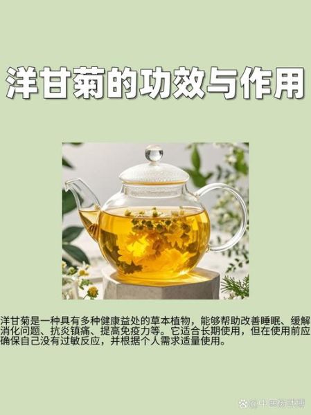 改善睡眠的中药有哪些_怎么用效果最好-第3张图片-山城妙识