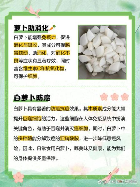 白萝卜的功效与作用及禁忌_哪些人不能吃白萝卜-第1张图片-山城妙识 白萝卜的功效与作用及禁忌_哪些人不能吃白萝卜-第1张图片-山城妙识