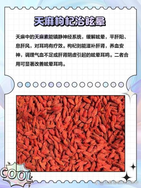 天麻泡水喝的功效与禁忌_天麻泡水一次放多少克-第3张图片-山城妙识 天麻泡水喝的功效与禁忌_天麻泡水一次放多少克-第3张图片-山城妙识