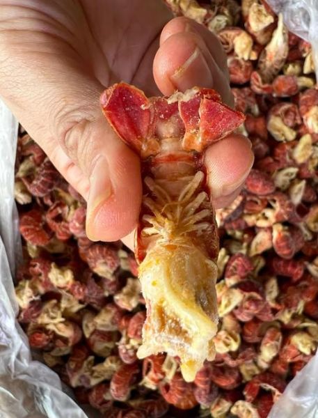 小龙虾尾怎么清洗_冷冻龙虾尾清洗方法-第1张图片-山城妙识 小龙虾尾怎么清洗_冷冻龙虾尾清洗方法-第1张图片-山城妙识