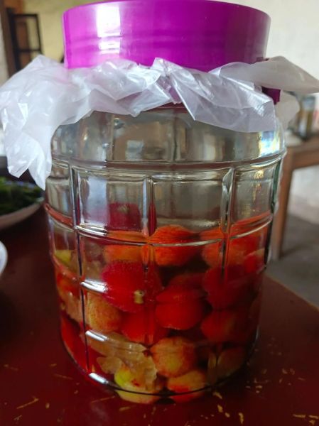 杨梅酒怎么发酵_杨梅酒酿制方法步骤-第2张图片-山城妙识 杨梅酒怎么发酵_杨梅酒酿制方法步骤-第2张图片-山城妙识