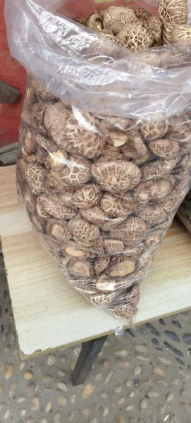 花菇价格多少钱一斤_花菇为什么这么贵-第3张图片-山城妙识