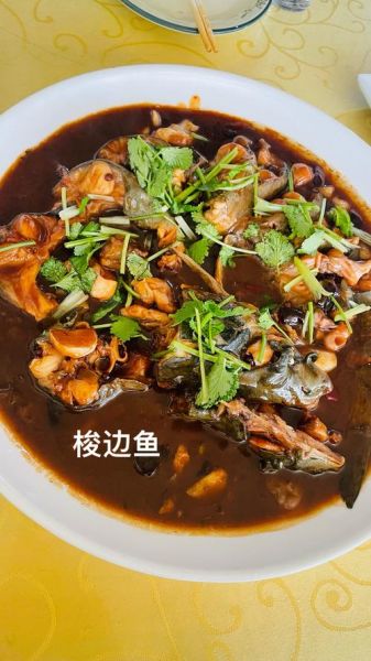 梭鱼怎么做好吃_家常红烧梭鱼做法-第1张图片-山城妙识