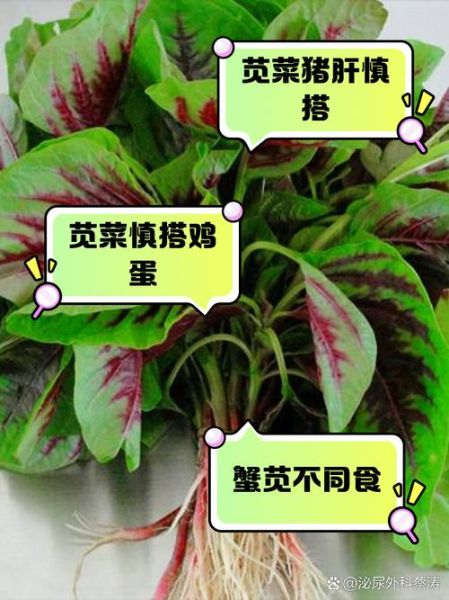 吃苋菜有什么禁忌_苋菜不能和什么一起吃-第3张图片-山城妙识 吃苋菜有什么禁忌_苋菜不能和什么一起吃-第3张图片-山城妙识