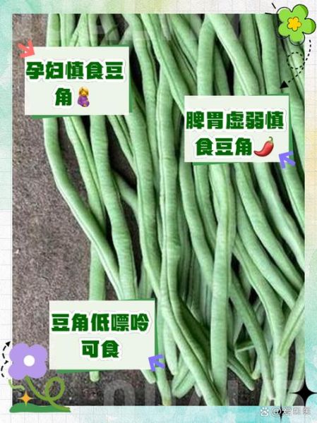 吃长豆角的好处和坏处_长豆角吃多了会怎样-第2张图片-山城妙识