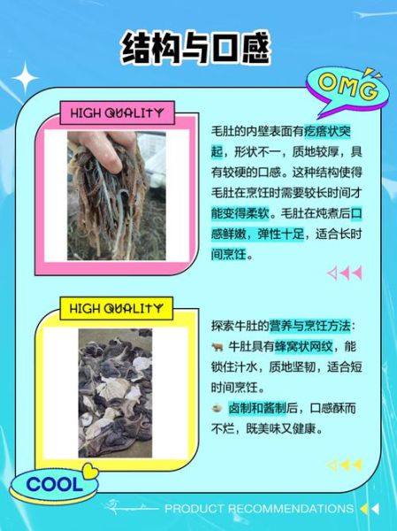 毛肚是什么东西_毛肚和牛肚有什么区别-第1张图片-山城妙识 毛肚是什么东西_毛肚和牛肚有什么区别-第1张图片-山城妙识