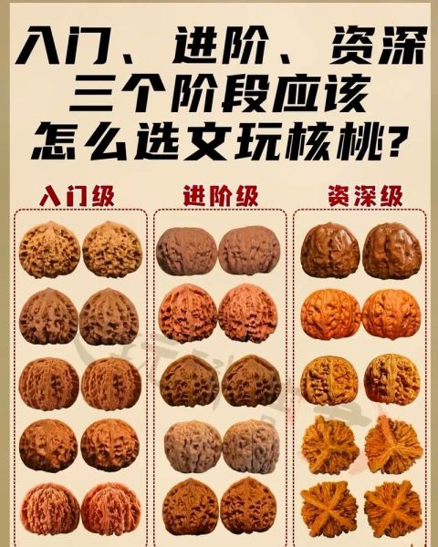文玩核桃十大品种有哪些_如何挑选最保值-第3张图片-山城妙识 文玩核桃十大品种有哪些_如何挑选最保值-第3张图片-山城妙识