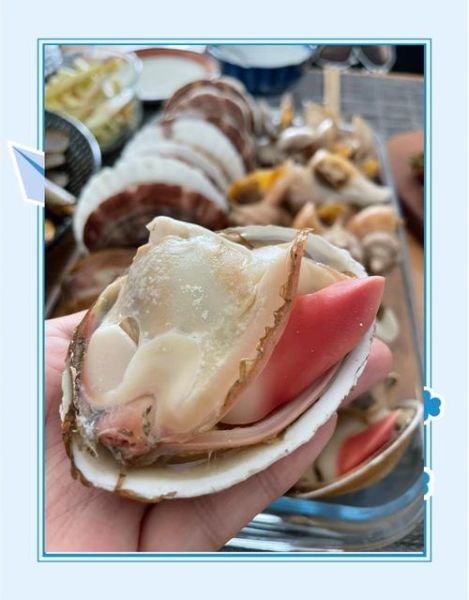 北极贝是什么东西_北极贝和北极贝柱的区别-第2张图片-山城妙识 北极贝是什么东西_北极贝和北极贝柱的区别-第2张图片-山城妙识