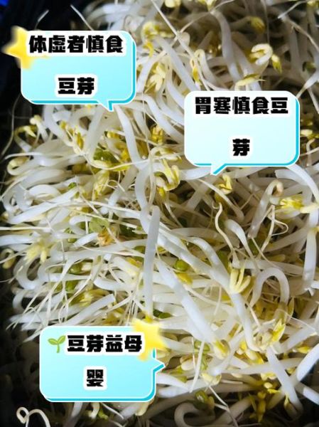 吃黄豆芽的好处与坏处_哪些人不能吃黄豆芽-第2张图片-山城妙识