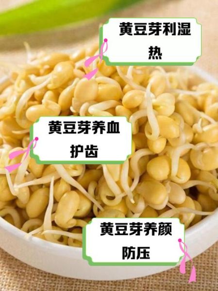 吃黄豆芽的好处与坏处_哪些人不能吃黄豆芽-第1张图片-山城妙识