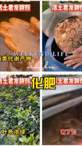 花生麸发酵不臭方法_如何避免臭味-第2张图片-山城妙识 花生麸发酵不臭方法_如何避免臭味-第2张图片-山城妙识