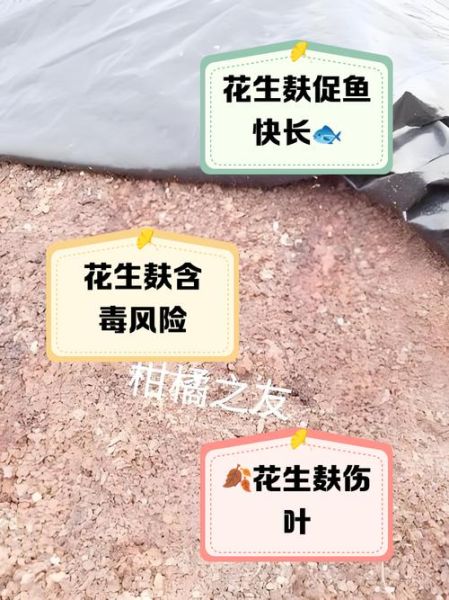 花生麸发酵不臭方法_如何避免臭味-第3张图片-山城妙识 花生麸发酵不臭方法_如何避免臭味-第3张图片-山城妙识