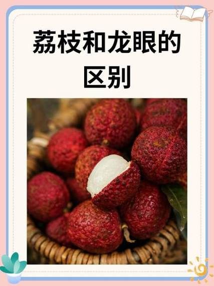 桂圆和荔枝的区别_哪个更上火-第1张图片-山城妙识