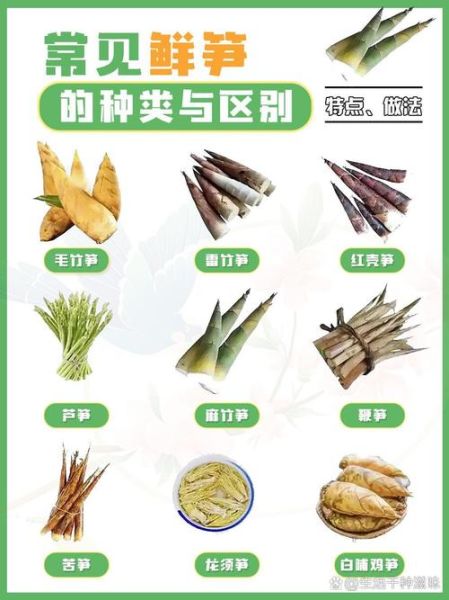 春笋和冬笋有什么区别_哪个更好吃-第1张图片-山城妙识 春笋和冬笋有什么区别_哪个更好吃-第1张图片-山城妙识