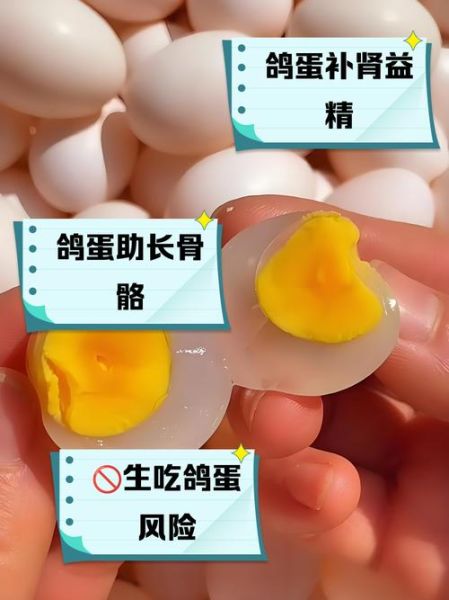 女性长期吃鸽子蛋好处_鸽子蛋对女人有什么功效-第3张图片-山城妙识