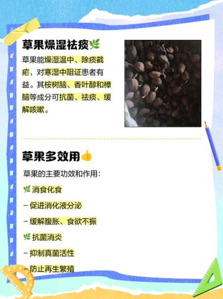 草果的功效与作用用量_草果一天吃多少克合适-第2张图片-山城妙识 草果的功效与作用用量_草果一天吃多少克合适-第2张图片-山城妙识