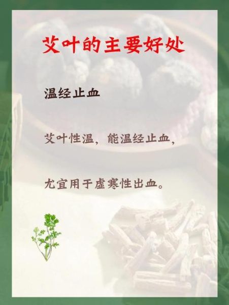 艾叶的功效与作用_艾叶的禁忌症及副作用-第2张图片-山城妙识 艾叶的功效与作用_艾叶的禁忌症及副作用-第2张图片-山城妙识