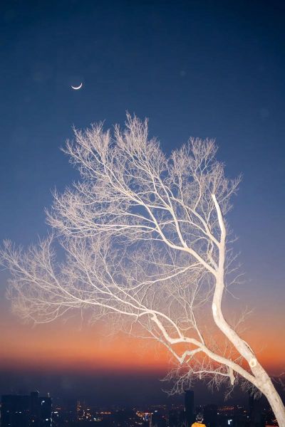 中秋节图片唯美高清哪里找_如何挑选高清月亮图-第3张图片-山城妙识 中秋节图片唯美高清哪里找_如何挑选高清月亮图-第3张图片-山城妙识