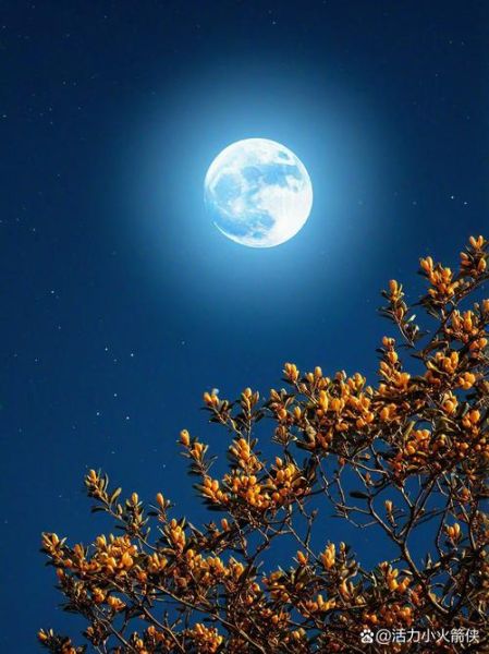 中秋节图片唯美高清哪里找_如何挑选高清月亮图-第2张图片-山城妙识 中秋节图片唯美高清哪里找_如何挑选高清月亮图-第2张图片-山城妙识