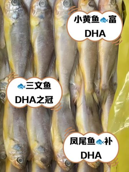 含dha高的食物排名_哪些食物dha含量最高-第1张图片-山城妙识