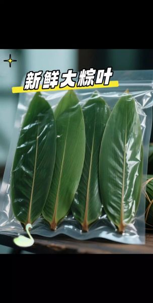 粽叶批发价格多少钱一斤_粽叶批发哪里便宜-第3张图片-山城妙识 粽叶批发价格多少钱一斤_粽叶批发哪里便宜-第3张图片-山城妙识