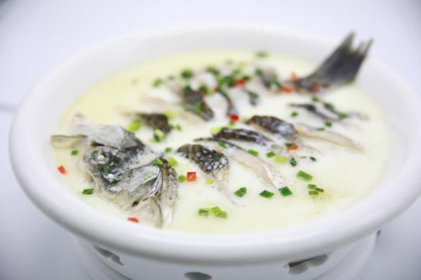 芙蓉鲫鱼是什么品种_芙蓉鲫鱼产地在哪里-第1张图片-山城妙识