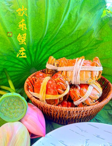 大闸蟹一次最多吃几只_吃大闸蟹一次吃几个合适-第3张图片-山城妙识