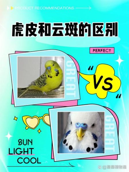 虎彩云印是什么_虎彩云印怎么用-第1张图片-山城妙识 虎彩云印是什么_虎彩云印怎么用-第1张图片-山城妙识