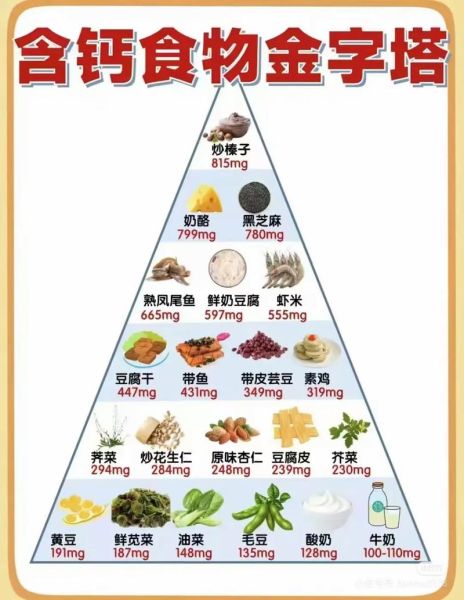 含钙高的食物排行榜_哪些食物补钙效果最好-第3张图片-山城妙识 含钙高的食物排行榜_哪些食物补钙效果最好-第3张图片-山城妙识