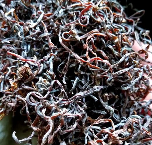 薇菜和蕨菜的区别图片_怎么分辨薇菜与蕨菜-第3张图片-山城妙识